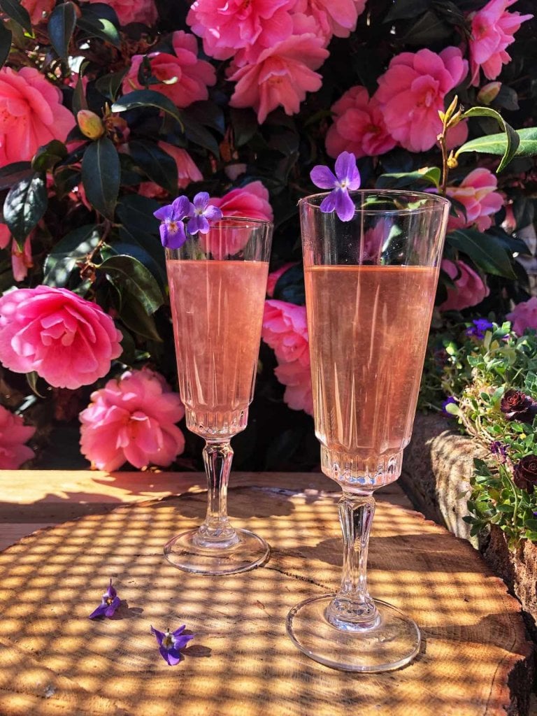 Foraging in Hampshire | New Forest Escapes