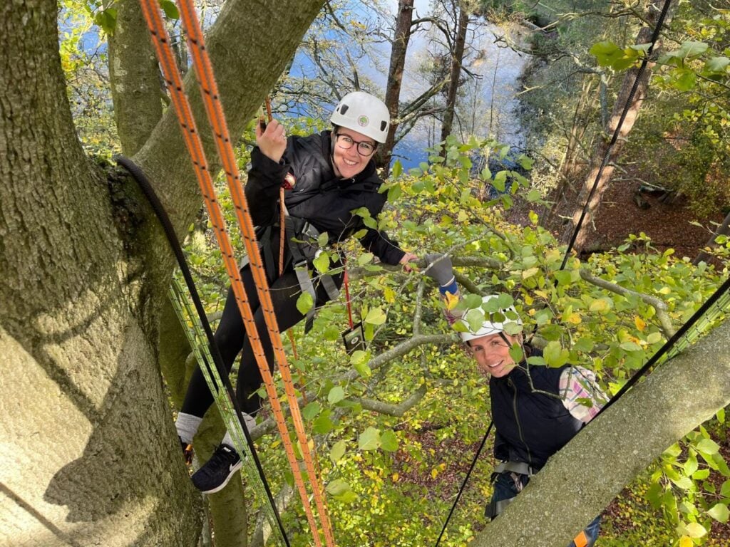 Social Tree Climbers – Adventuring Upwards | New Forest Escapes