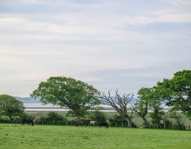 How to Spend a Weekend in the New Forest | New Forest Escapes