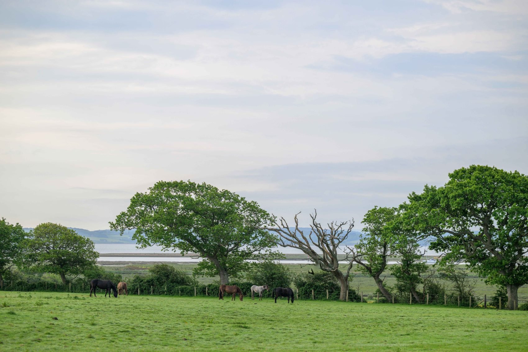 How to Spend a Weekend in the New Forest | New Forest Escapes